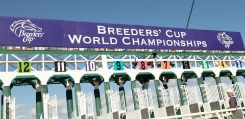 Exactor Betting Strategies - Predictem