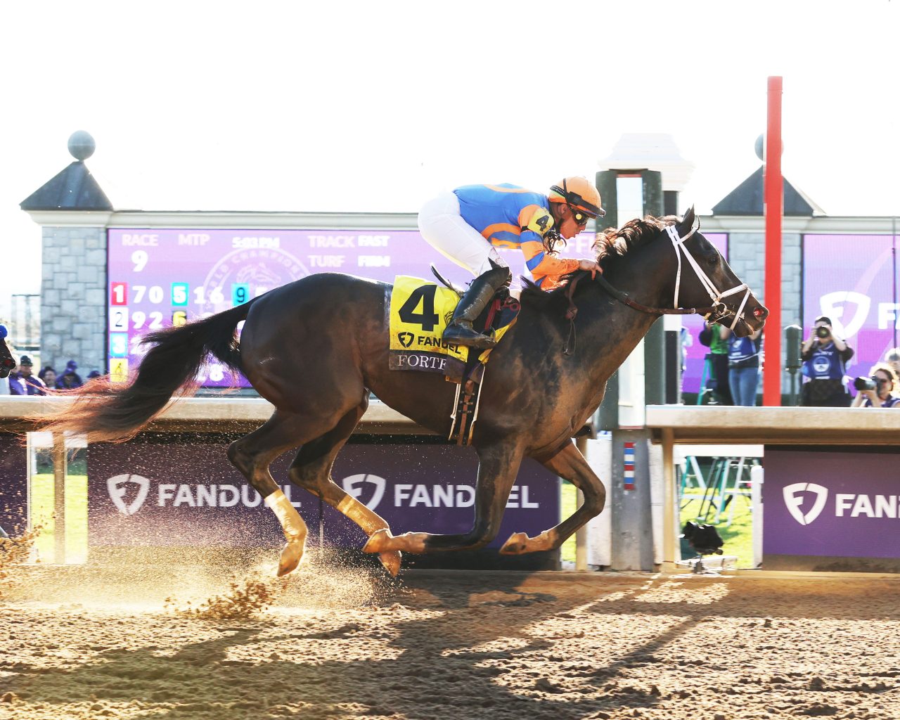 2023 Fountain of Youth Stakes Betting Preview - Predictem